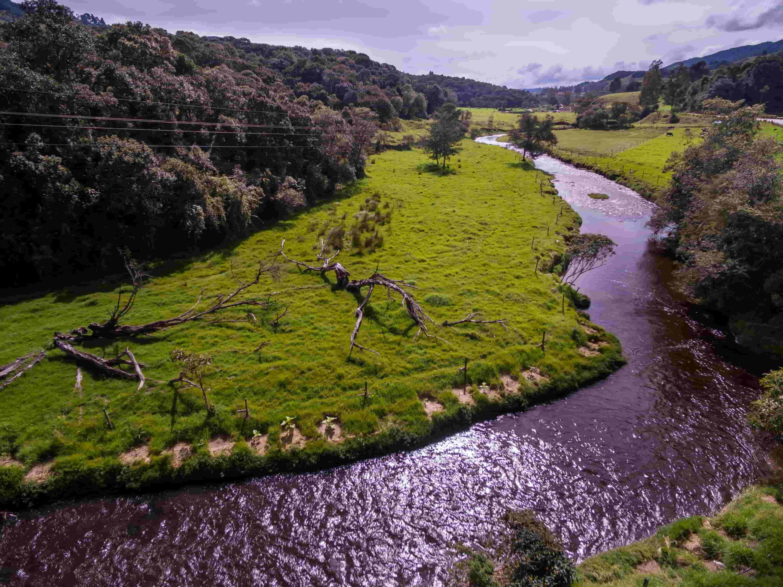 The Grupo Argos Foundation is committed to protecting water to conserve ...