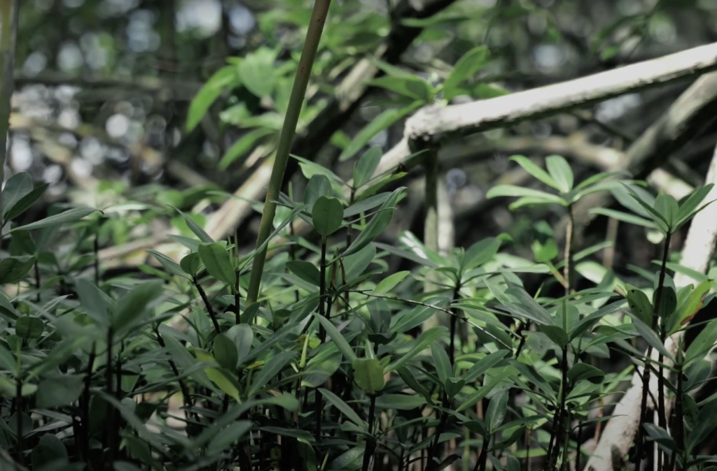 During the second half of 2024, Grupo Empresarial Argos will reach 20 ...