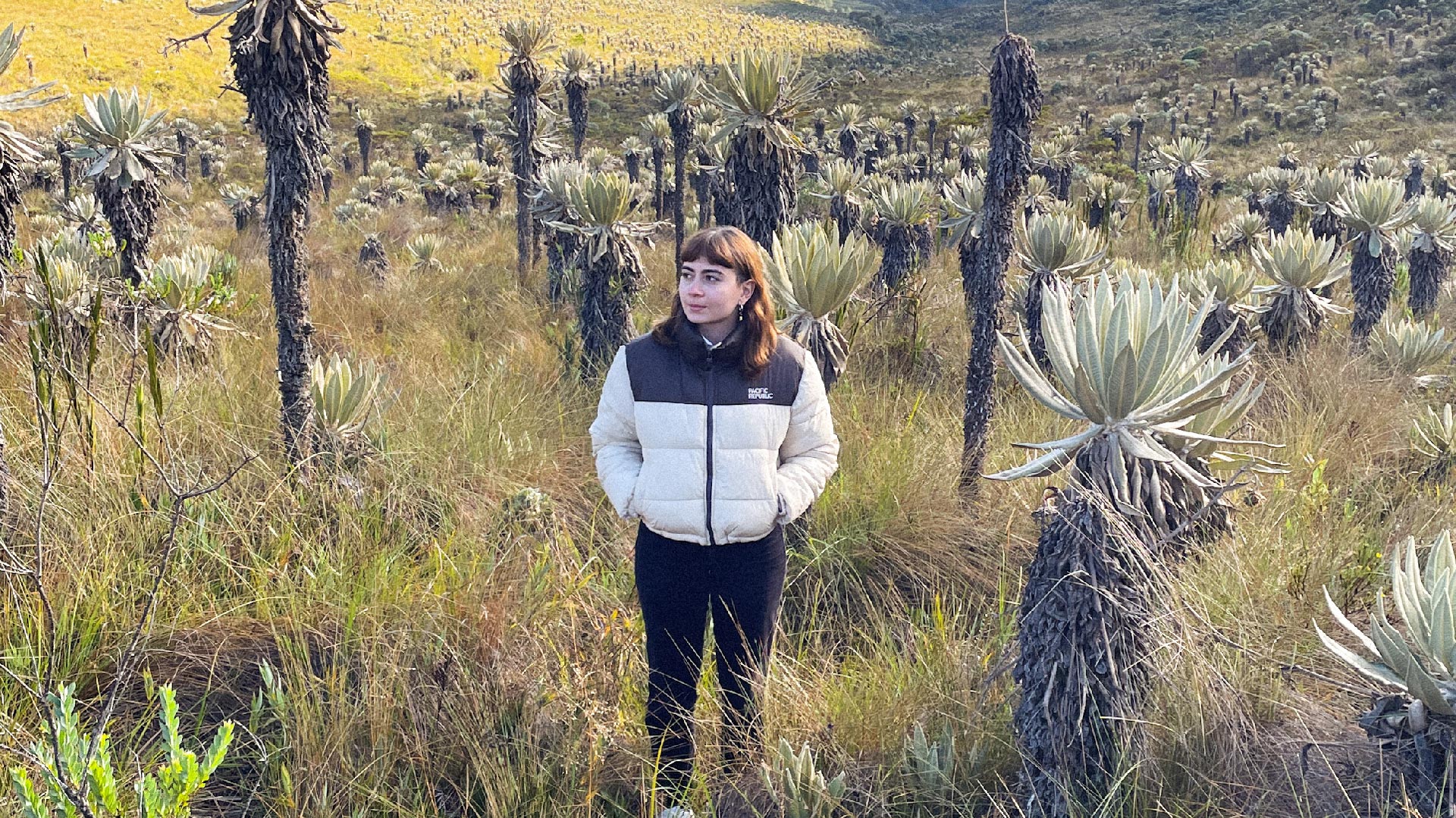María Camila Castro, practicante de la Fundación Grupo Argos “El amor ...