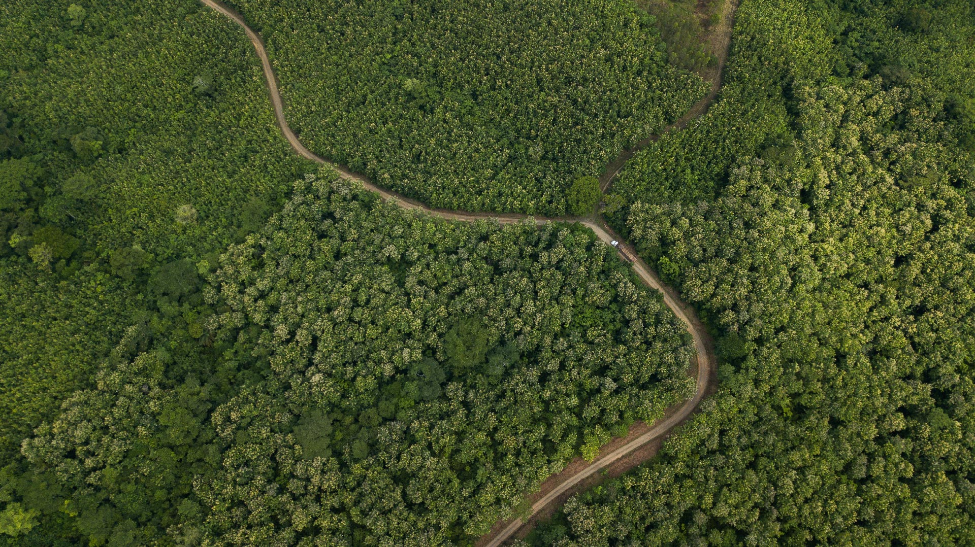 Grupo Argos Foundation commemorates Earth Day by announcing the ...